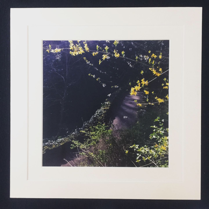 Spring fairy comes│acid-free photo paper│printed and produced in the UK ...